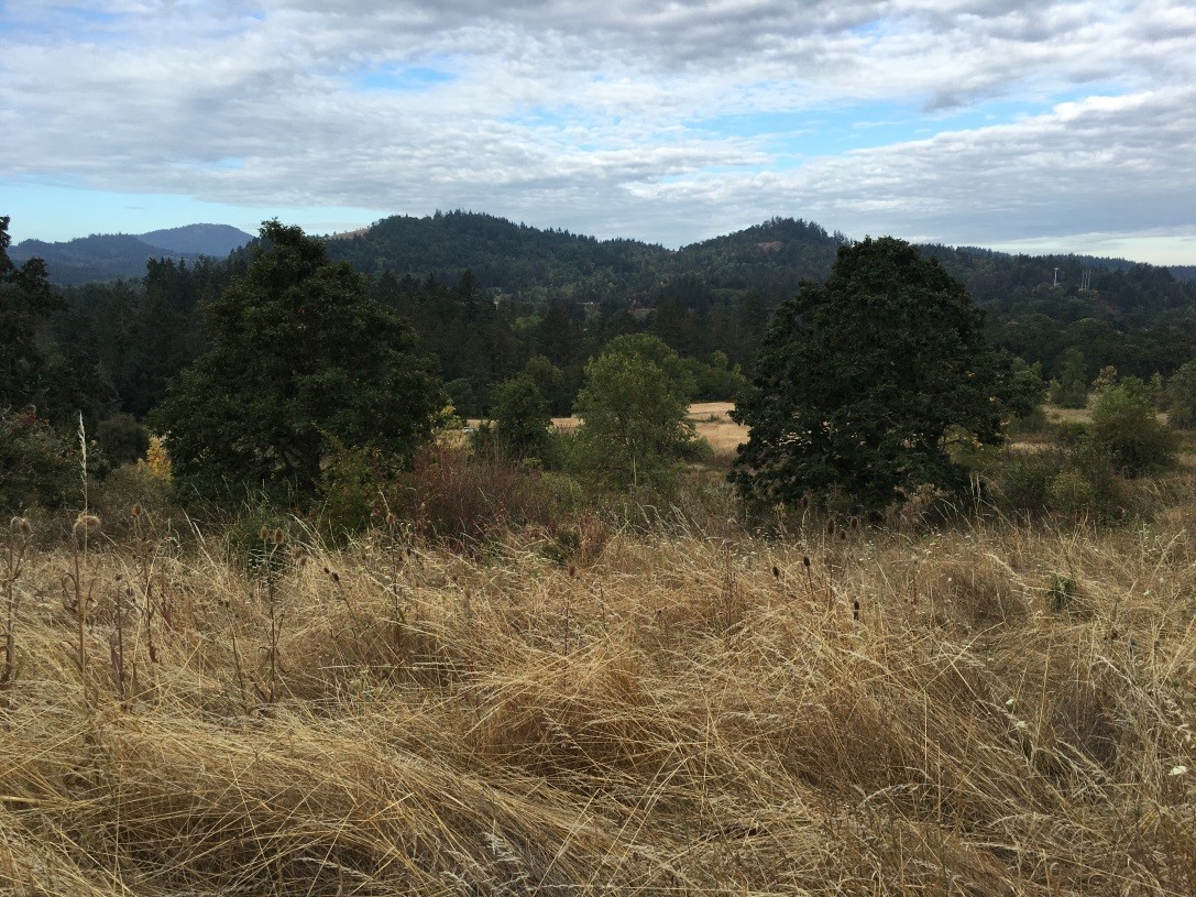 Dorris Ranch – Middle Fork Willamette Watershed Council