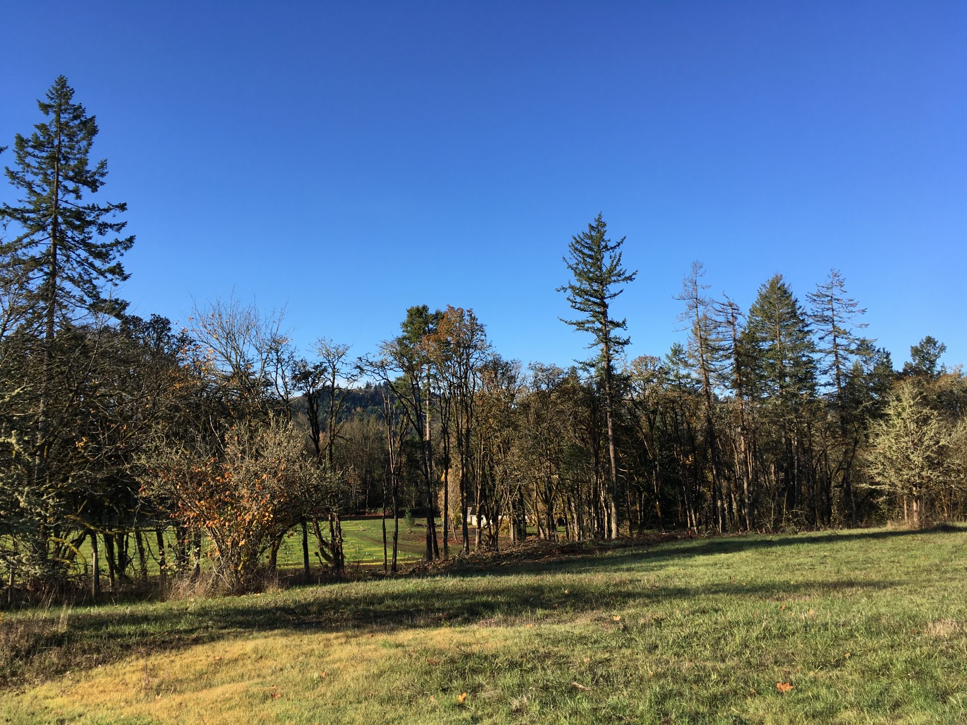 Dorris Ranch – Middle Fork Willamette Watershed Council