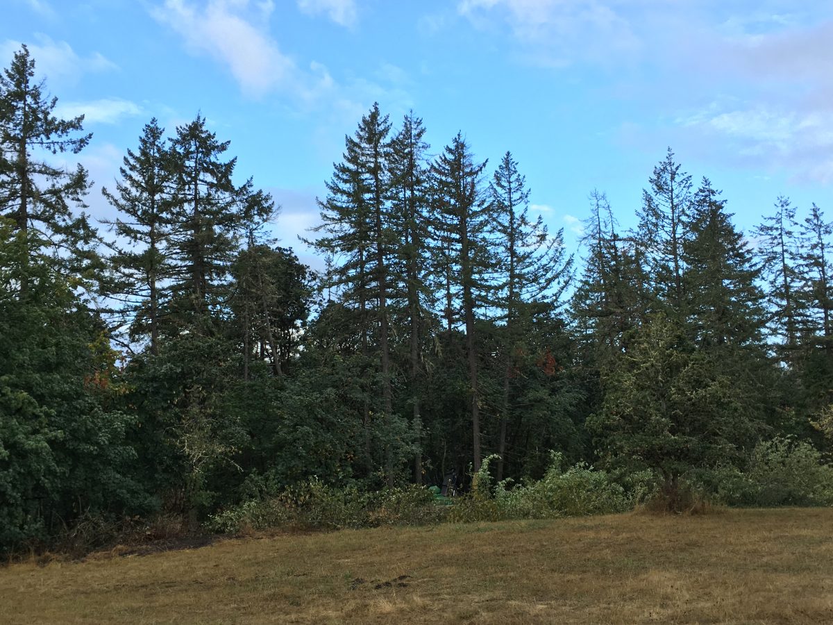 Dorris Ranch – Middle Fork Willamette Watershed Council