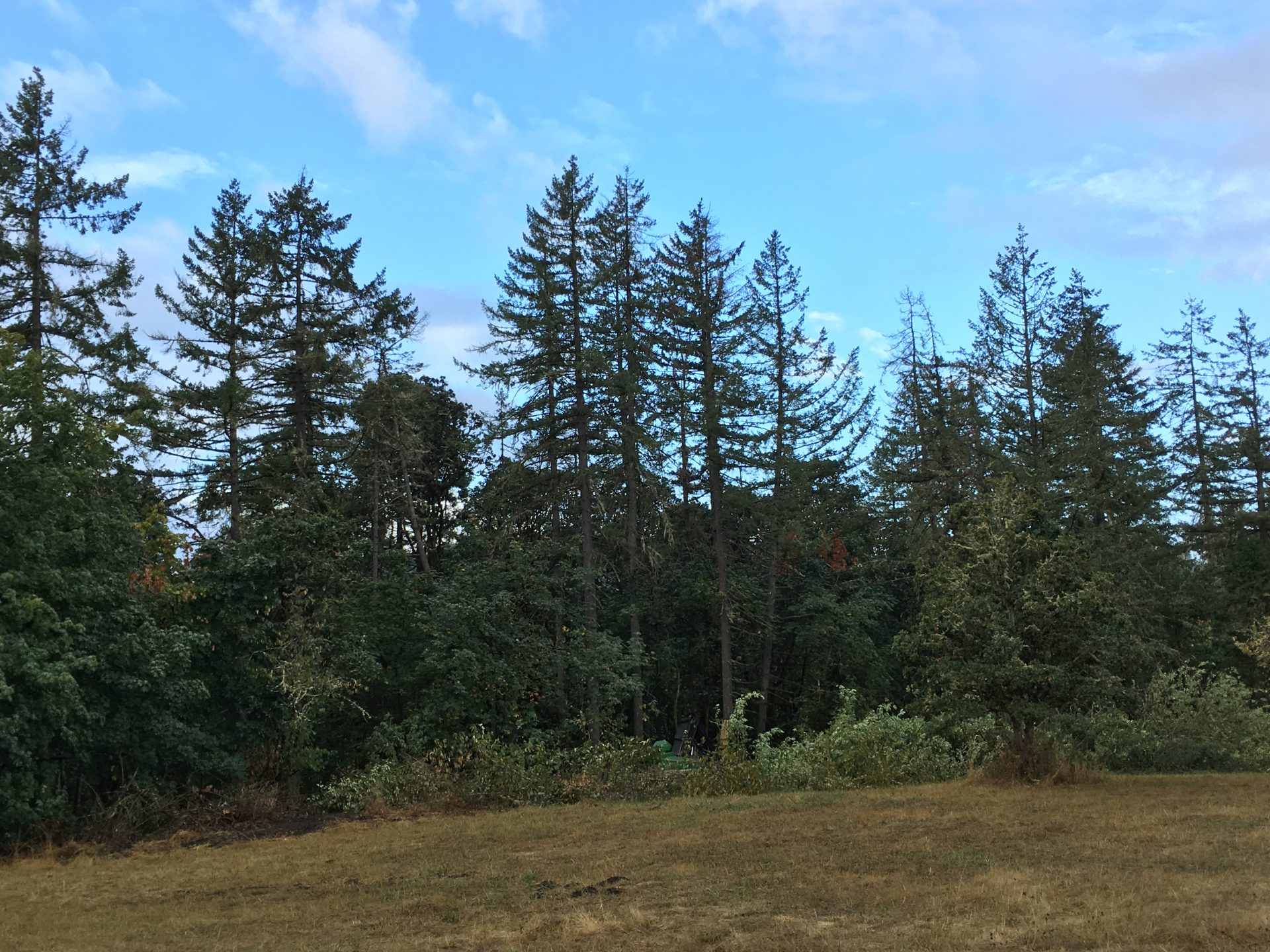 Dorris Ranch – Middle Fork Willamette Watershed Council