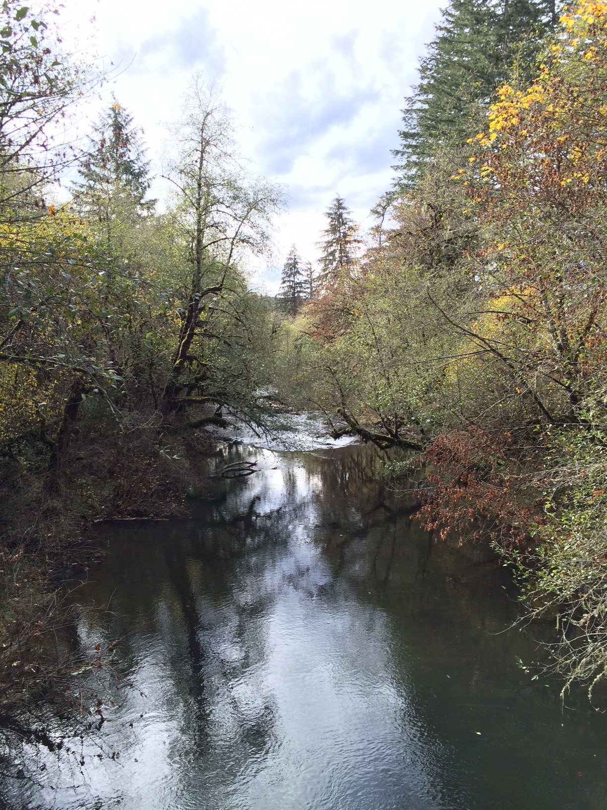 Little Fall Creek Restoration – Middle Fork Willamette Watershed Council